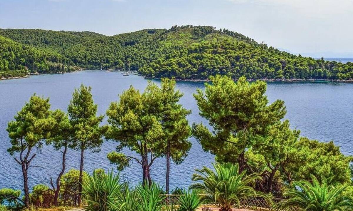 ΔΑΣΙΚΟΙ ΧΑΡΤΕΣ Ειδήσεις